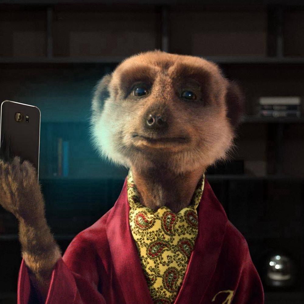 Chiller Scheme - Mr Meerkat Produced By Chiller Scheme • Frank Chiller